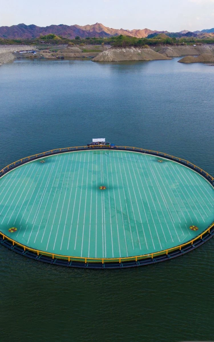 Aboitiz | Our Businesses